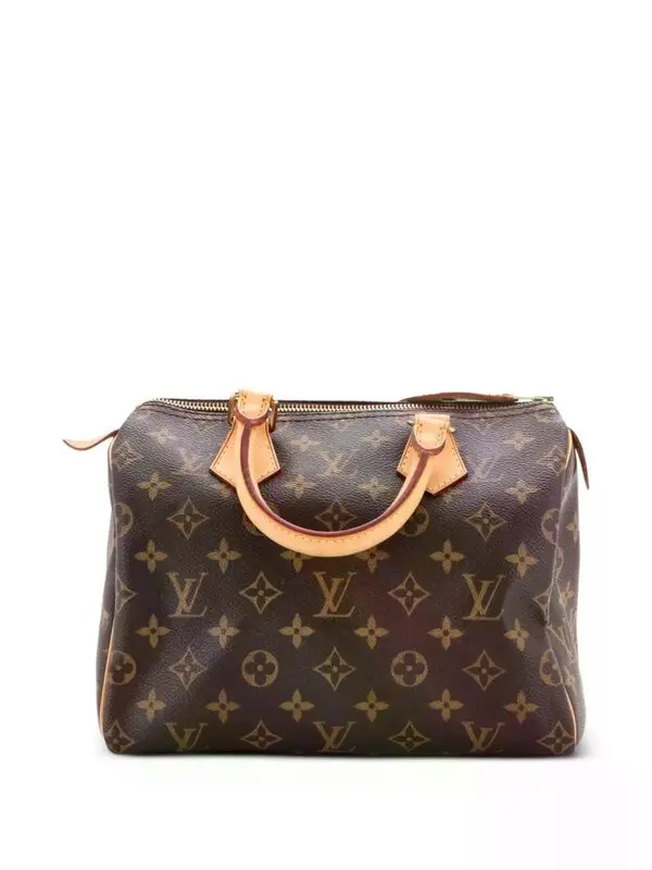 LOUIS VUITTON Speedy Handbag Monogram Canvas Satchel