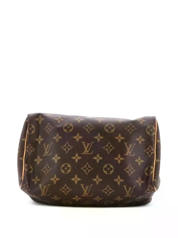 LOUIS VUITTON Speedy Handbag Monogram Canvas Satchel