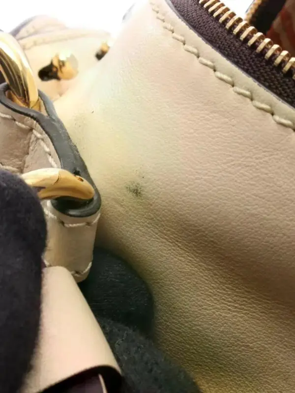 Chloé 2010s Daria Leather Tote Bag