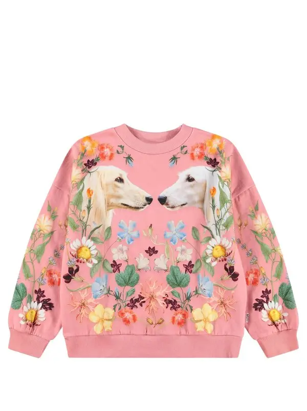 MOLO Sweatshirt Afghan Hounds