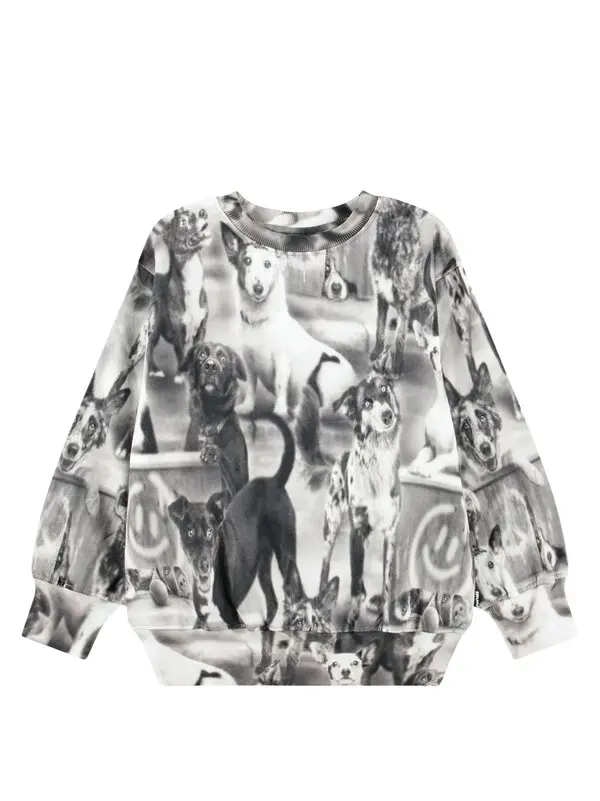 MOLO Sweatshirt With Dogs "mattis