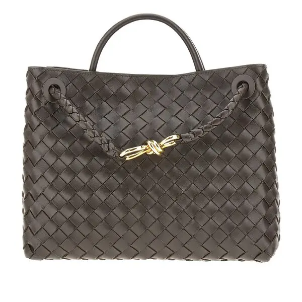 Bottega Veneta Medium 'andiamo' Bag - Brown