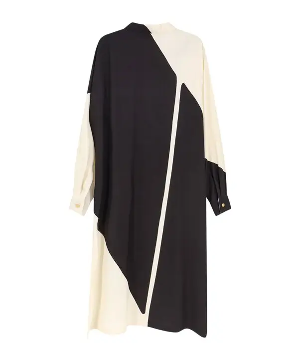 Alberta Ferretti Asymmetric Panel Buttoned Long Sleeve Top