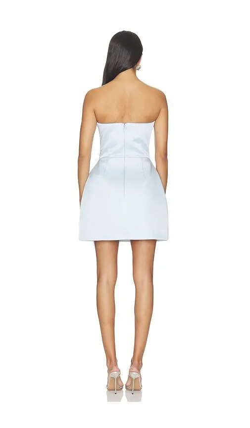 NADINE MERABI Flower Trim Mini Dress - Blue