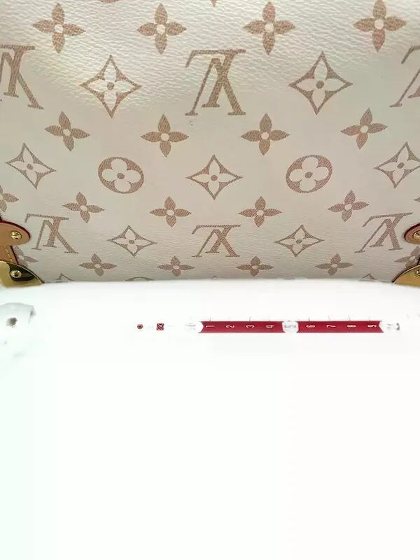 LOUIS VUITTON Side Trunk Mm Shoulder Bag