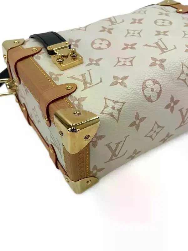LOUIS VUITTON Side Trunk Mm Shoulder Bag