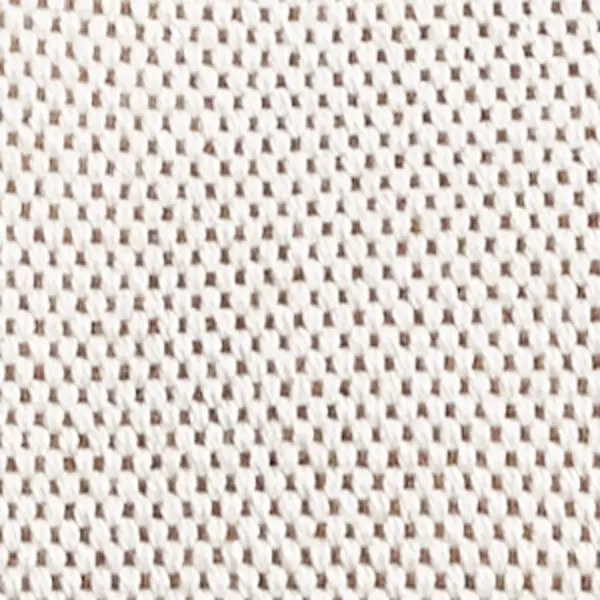 Chloé Canvas Clover Carry Tote Bag