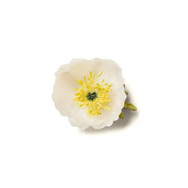 HELENA SIMON The Poppy Floral Brooch - White