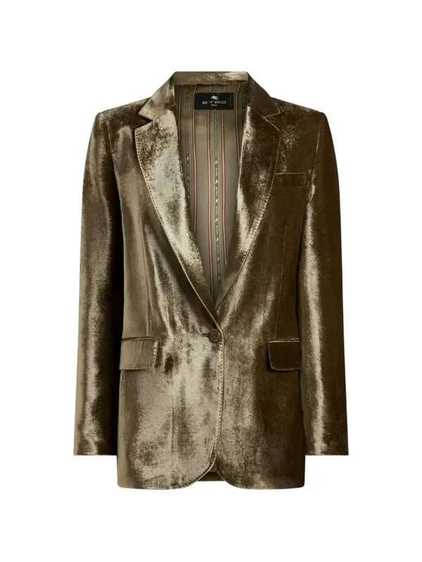 Etro Velvet Single-breasted Blazer Jacket - Multicolor