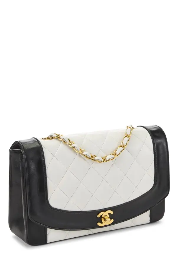 Chanel Multicolor Lambskin Classic Flap Medium