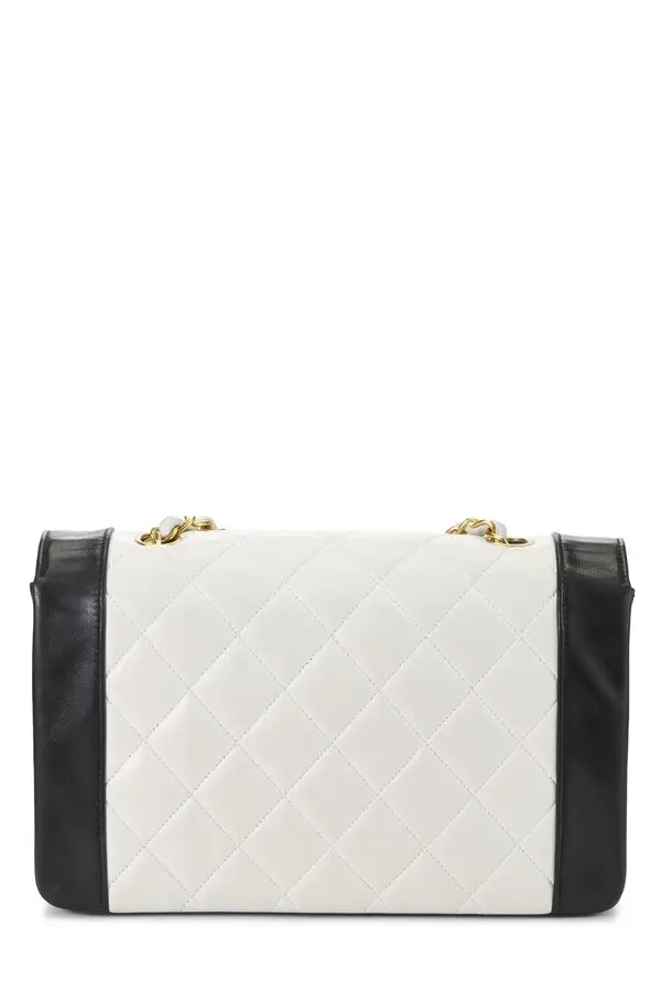 Chanel Multicolor Lambskin Classic Flap Medium