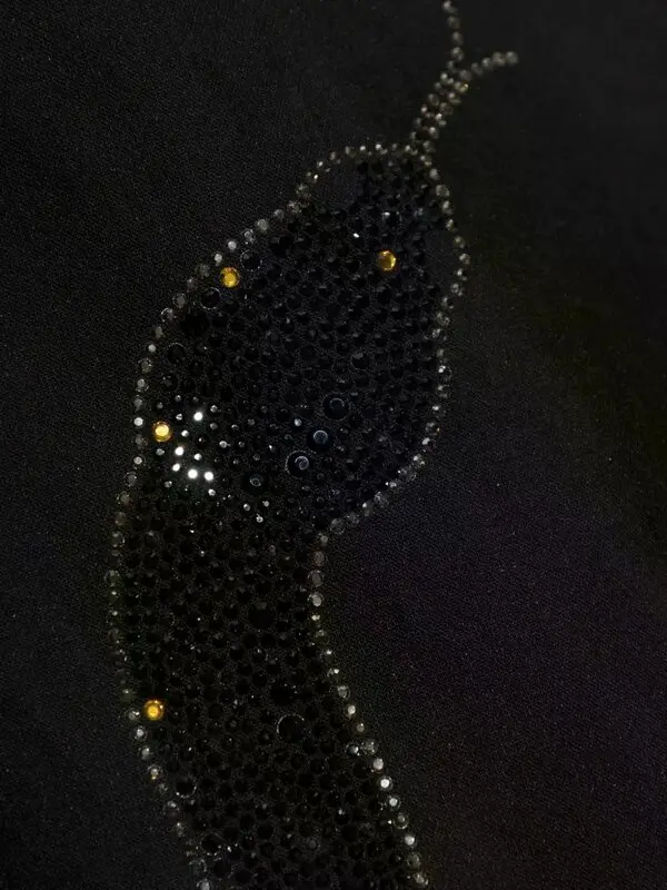 Zadig&Voltaire Vanille Crystal-embellished Blazer