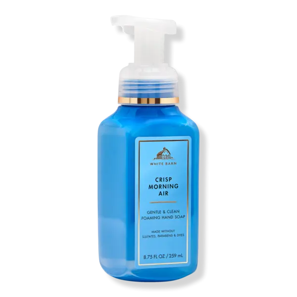 BATH & BODY WORKS Gentle & Clean Foaming Hand Soap Crisp Morning Air - One-color