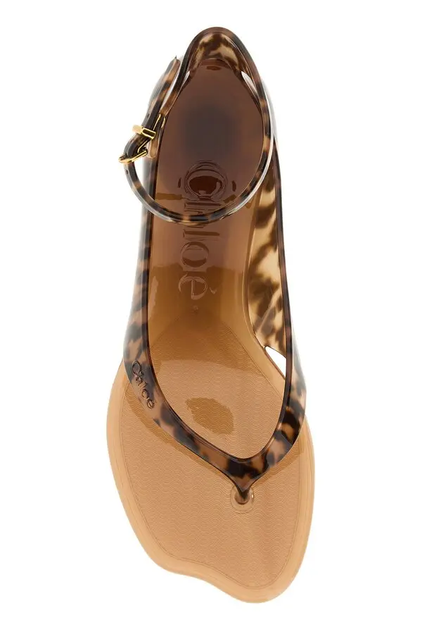 Chloé Printed Tpu Jelly Thong Sandals