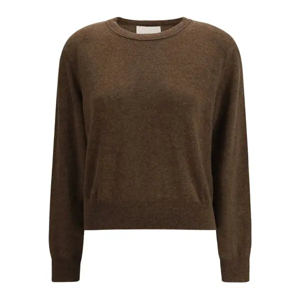 LISA YANG Fine Knit Crewneck Sweater - Brown