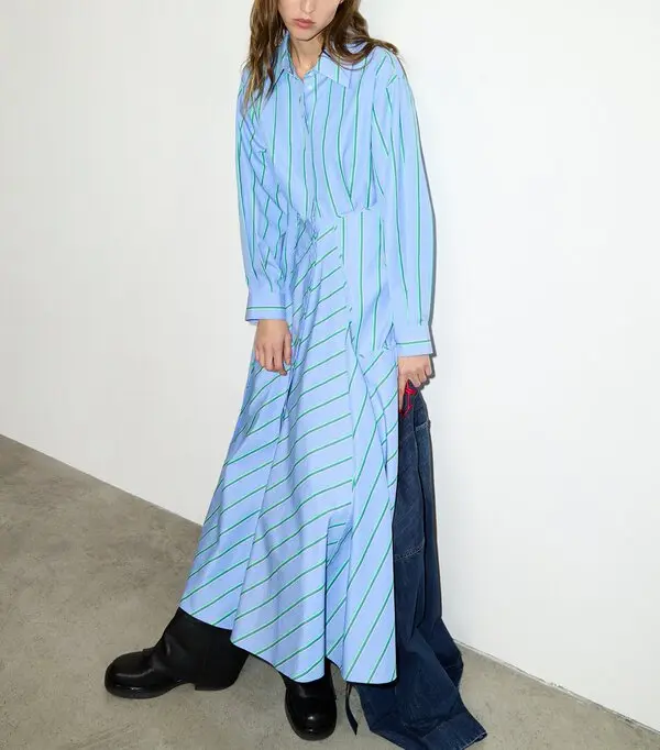 Max & Co. Cotton Stripe Shirt Dress
