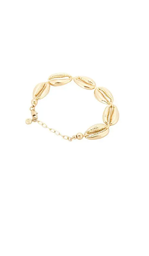 Ettika Seven Seas Shell Bracelet In Tone