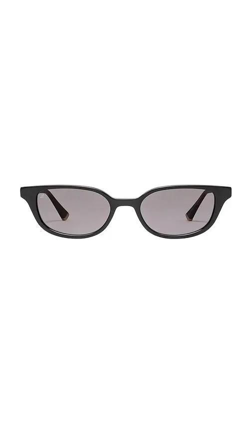 JIMMY FAIRLY The Pippa Sunglasses