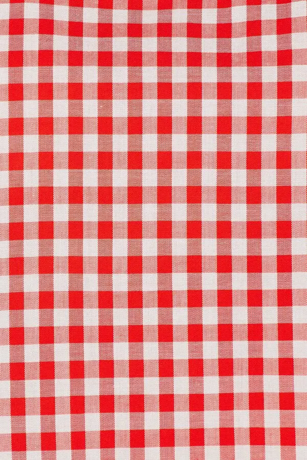 Suzie Kondi Kori Top - Cherry Gingham