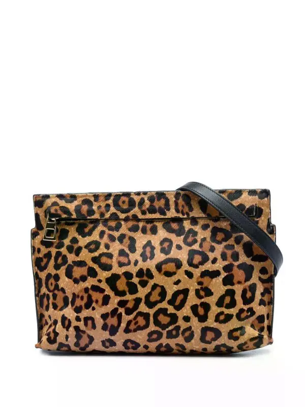Loewe 2016 Pony Hair Leopard Print And Calfskin Crossbody Bag - Brown