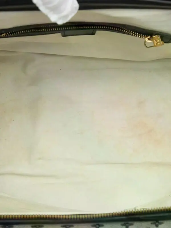 LOUIS VUITTON Monogram Mini Lin Josephine Gm Handbag