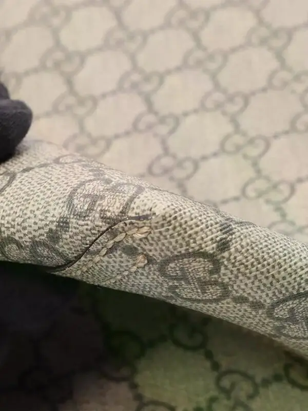 Gucci Ophidia Gg Supreme Tote Bag