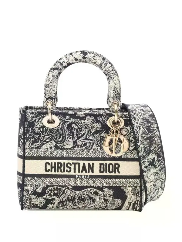 Dior 2000-2026 Medium Embroidered Canvas Toile De Jouy Lady D Lite Satchel - Blue