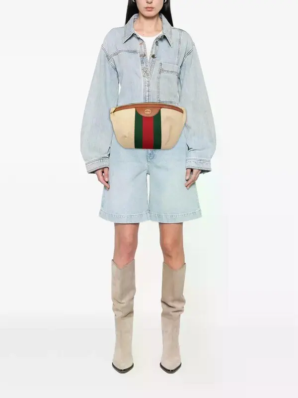 Gucci 2000-2015 Canvas Web Belt Bag
