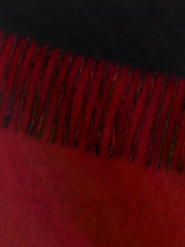 VIVIENNE WESTWOOD Double Face Fringed Scarf