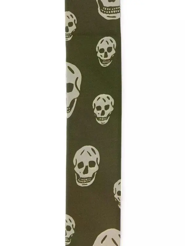 Alexander McQueen Skull-print Silk Scarf - Green