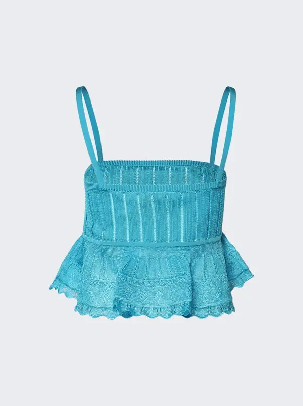 ALAÃA Shiny Crinoline Top