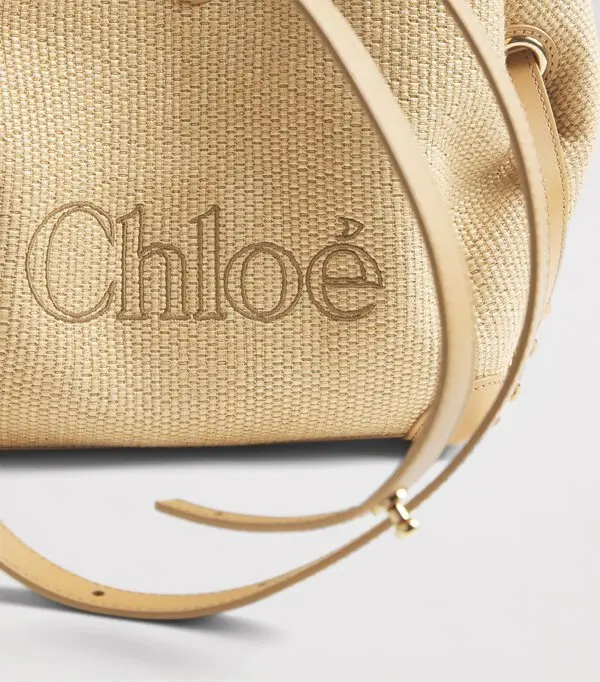 Chloé Small Raffia-effect Clover Carry Top-handle Bag