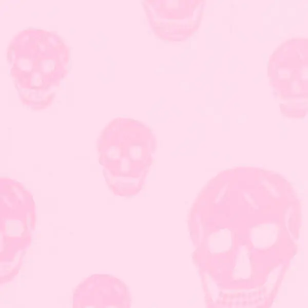Alexander McQueen Silk Skull Scarf