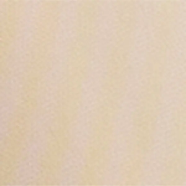 Falke Pure Matt 20 Tights