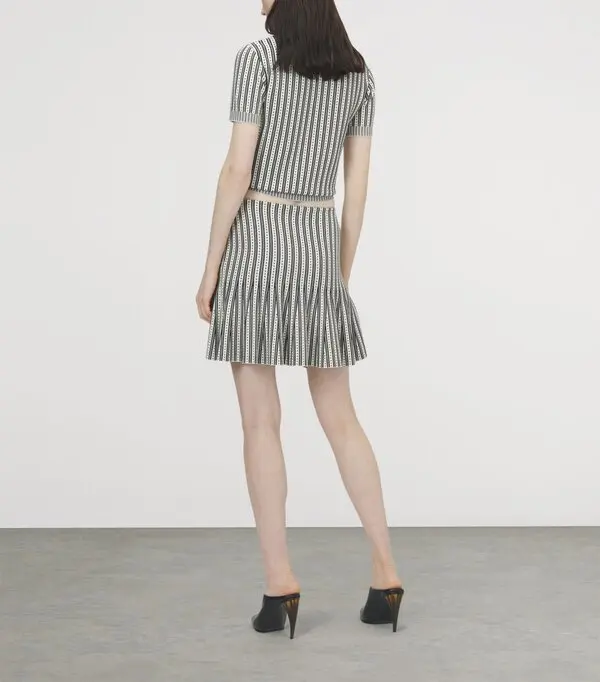Alexander McQueen Knit Striped Mini Skirt