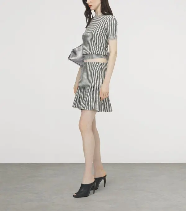 Alexander McQueen Knit Striped Mini Skirt