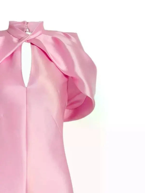 Alberta Ferretti Maxi Dress With Draped Sleeves - Pink