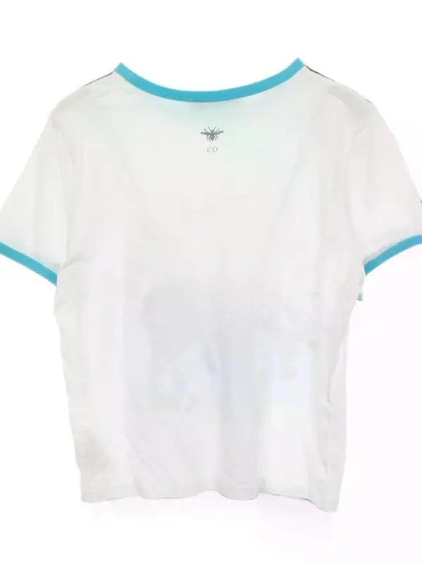 Dior Zebra Print Logo T-shirt