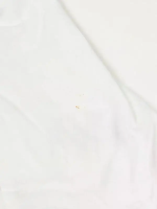 Dior Zebra Print Logo T-shirt