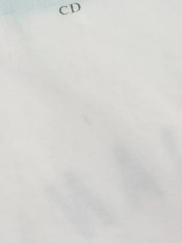 Dior Zebra Print Logo T-shirt