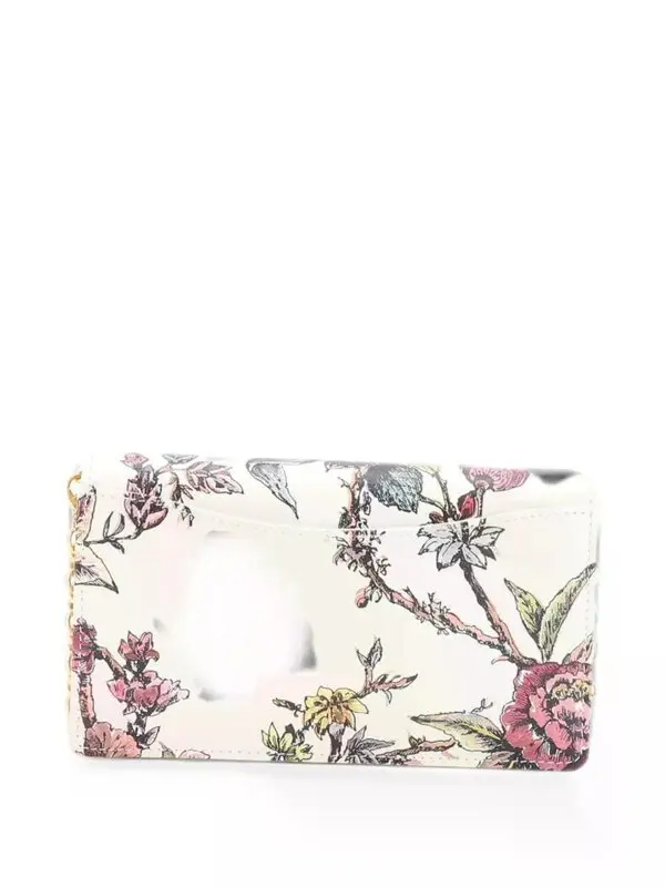 Dior Caro Wallet On Chain Pouch Printed Leather Crossbody Bag - Multicolour