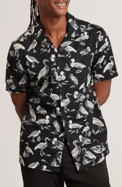 Ted Baker London Yamal Duck Print Camp Shirt - Black