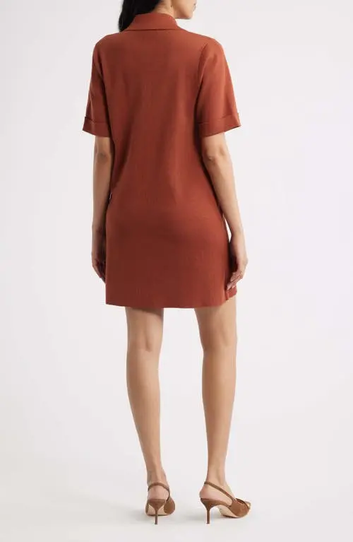 Eliza J Polo Sweater Dress - Rust