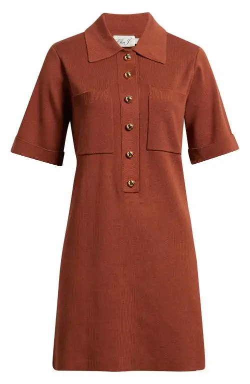 Eliza J Polo Sweater Dress - Rust