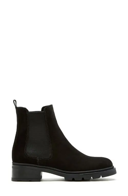 La Canadienne Salma Chelsea Boot - Black Suede