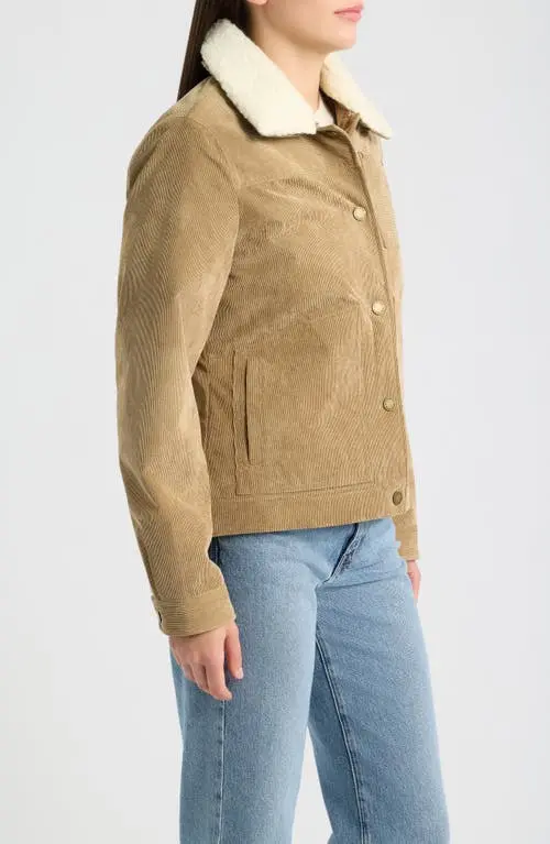 Pendleton Wind Basin Corduroy Jacket