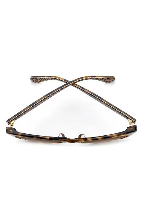 Kate Spade New York Tortoiseshell Round Frame Sunglasses - Havana/brown