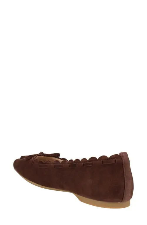 Pelle Moda Ilari Flat - Espresso