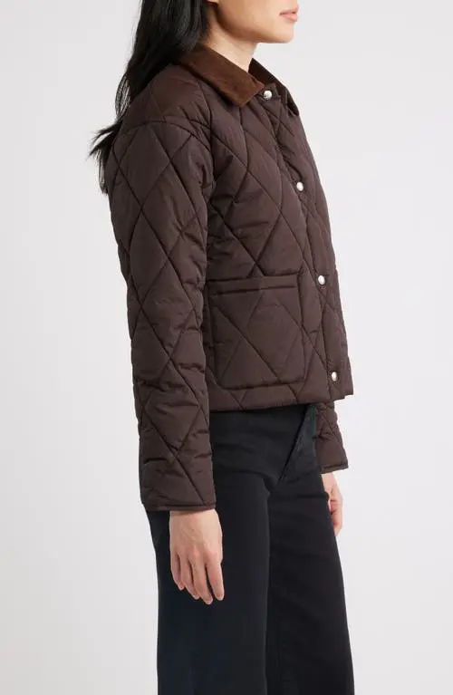 Sam Edelman Quilted Crop Jacket - Dark Brown