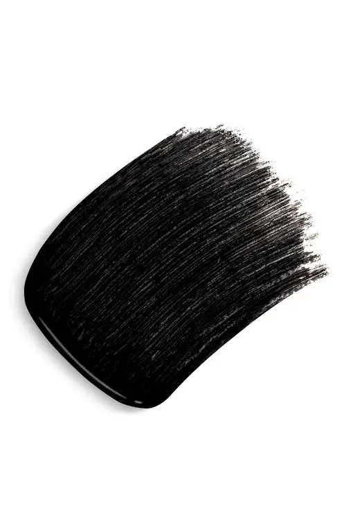 Sisley Phyto-noir Volume & Lift Mascara Duo $180 Value